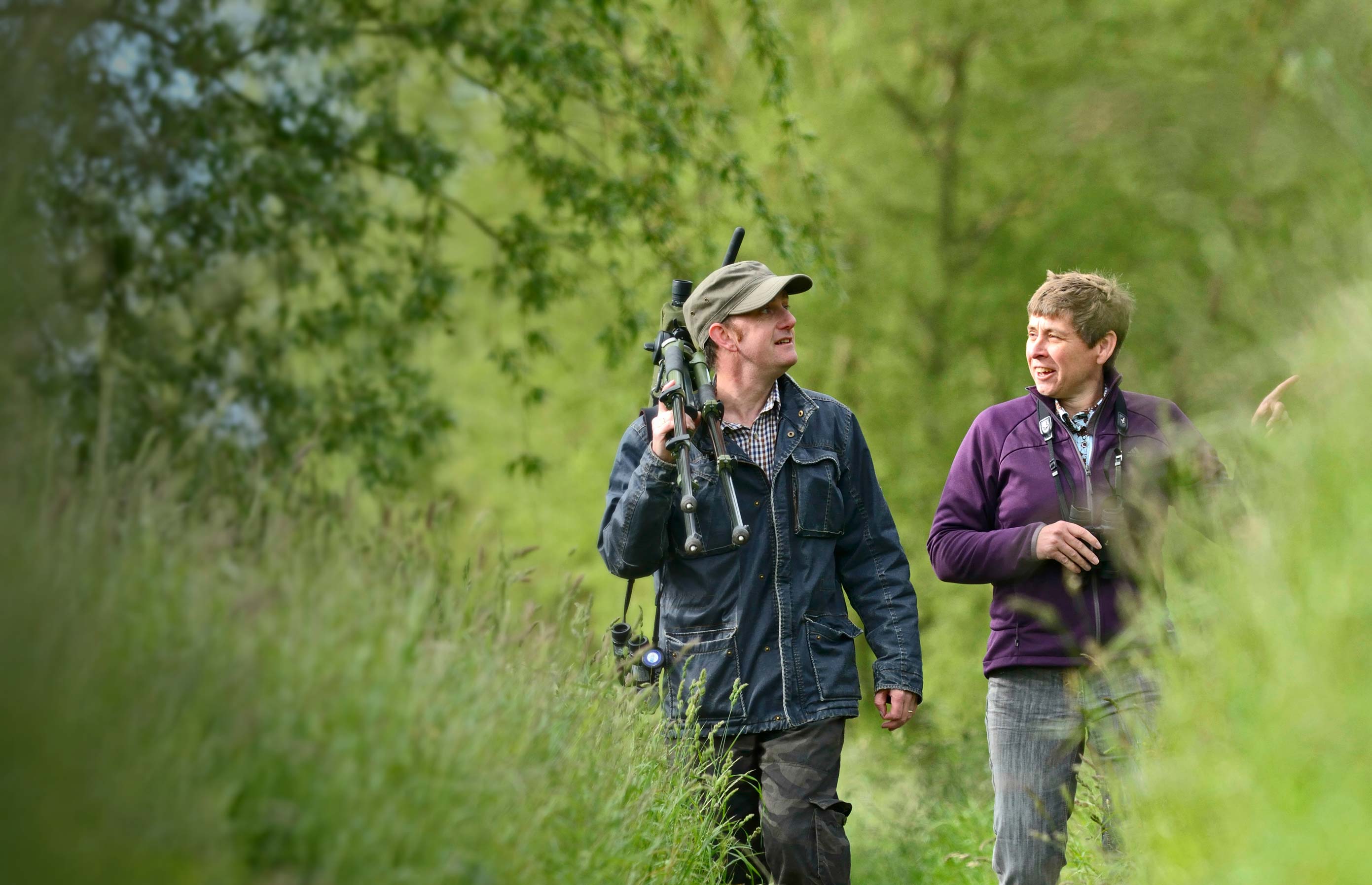 Why become a BTO Regional Network volunteer? | BTO - British Trust for ...