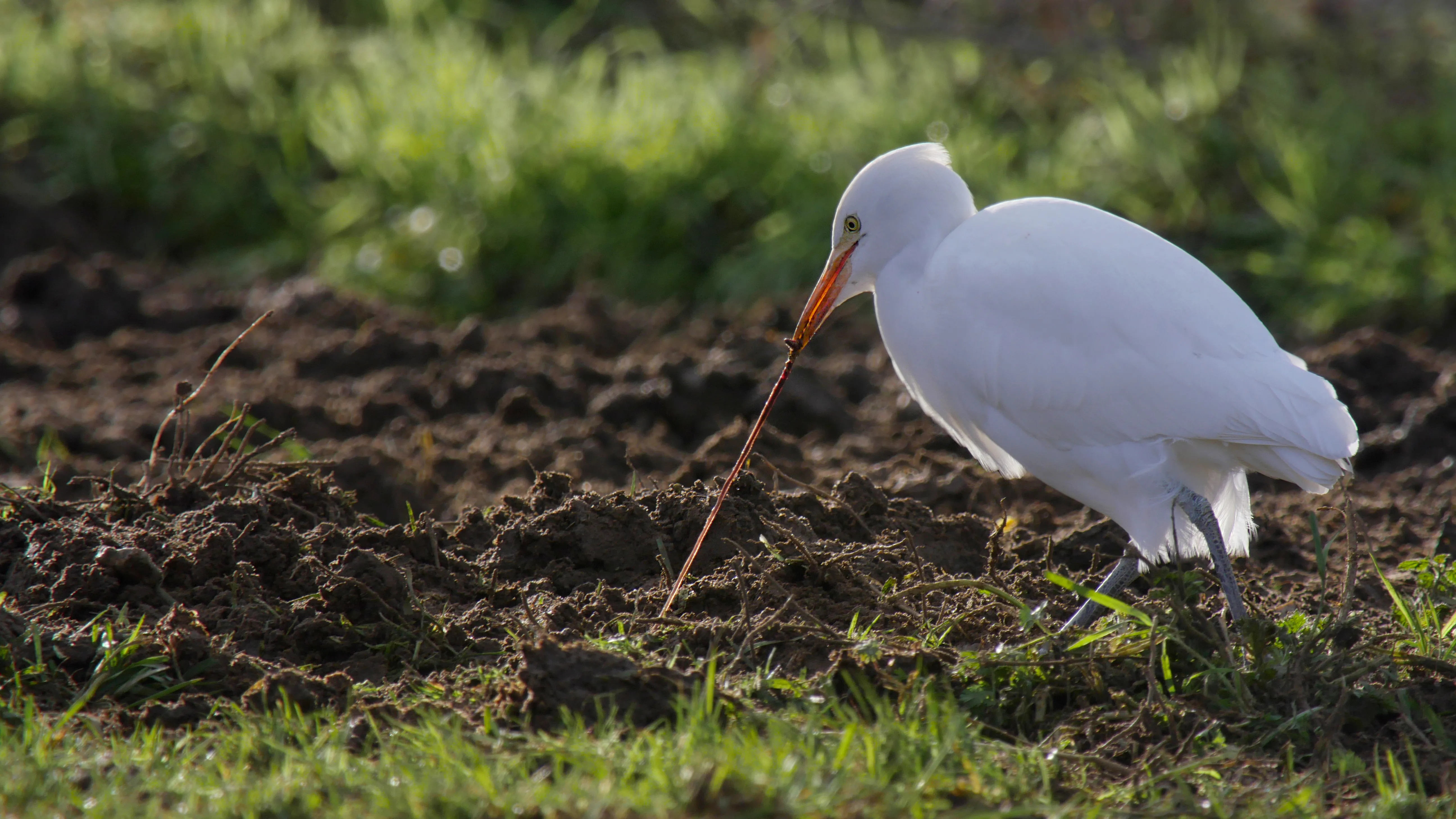 BTO Migblog - 26 Sep 2025 | BTO