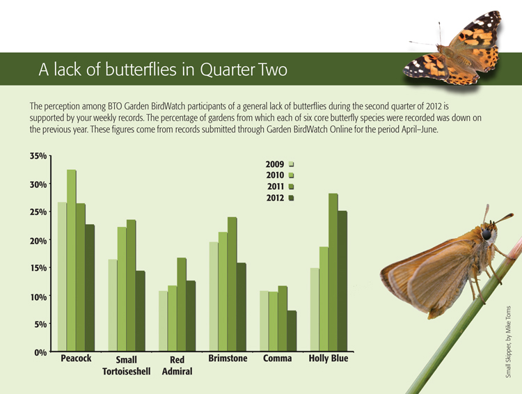 Summer weather hits butterfly populations | BTO - British Trust for ...