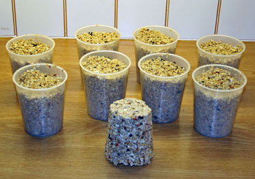 How To Make Bird Food | mandyscharms